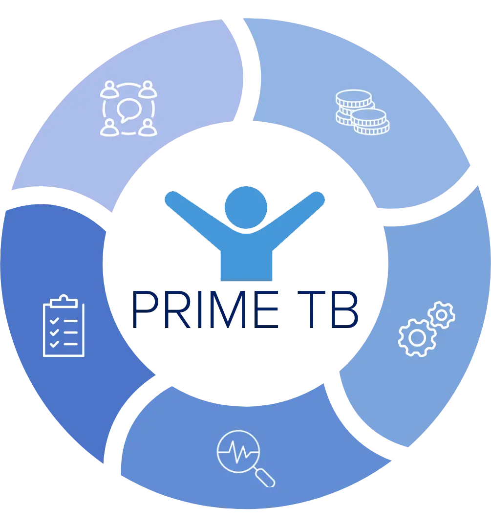 Strategic Planning For Tuberculosis